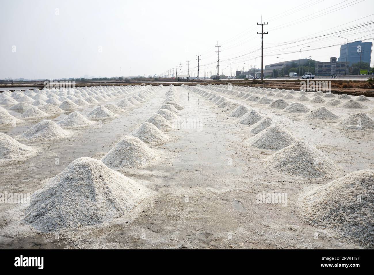 Heap of salt at salt pan in Thailand Stock Photo - Alamy
