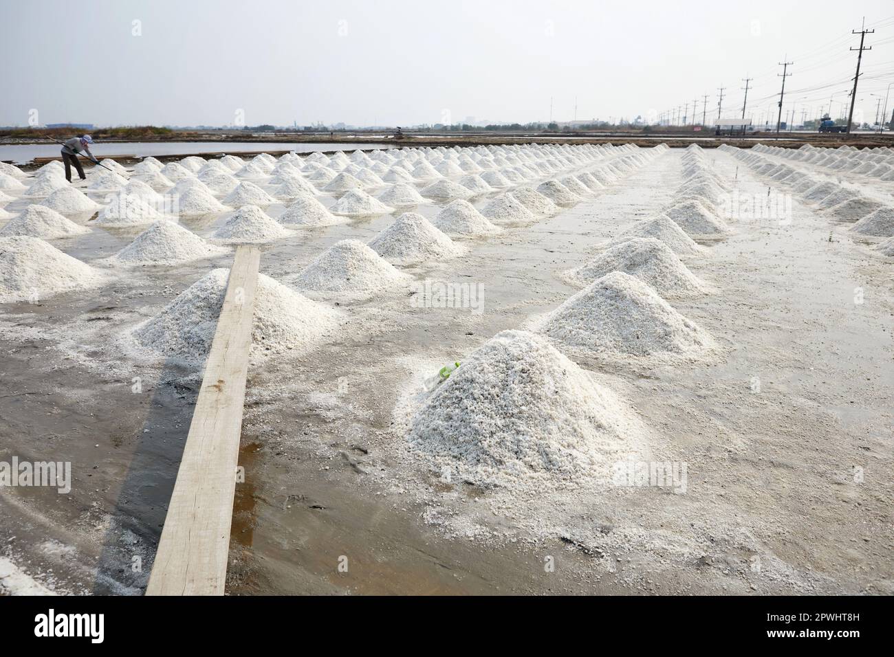 Sea water sea salt harvesting hi-res stock photography and images - Alamy