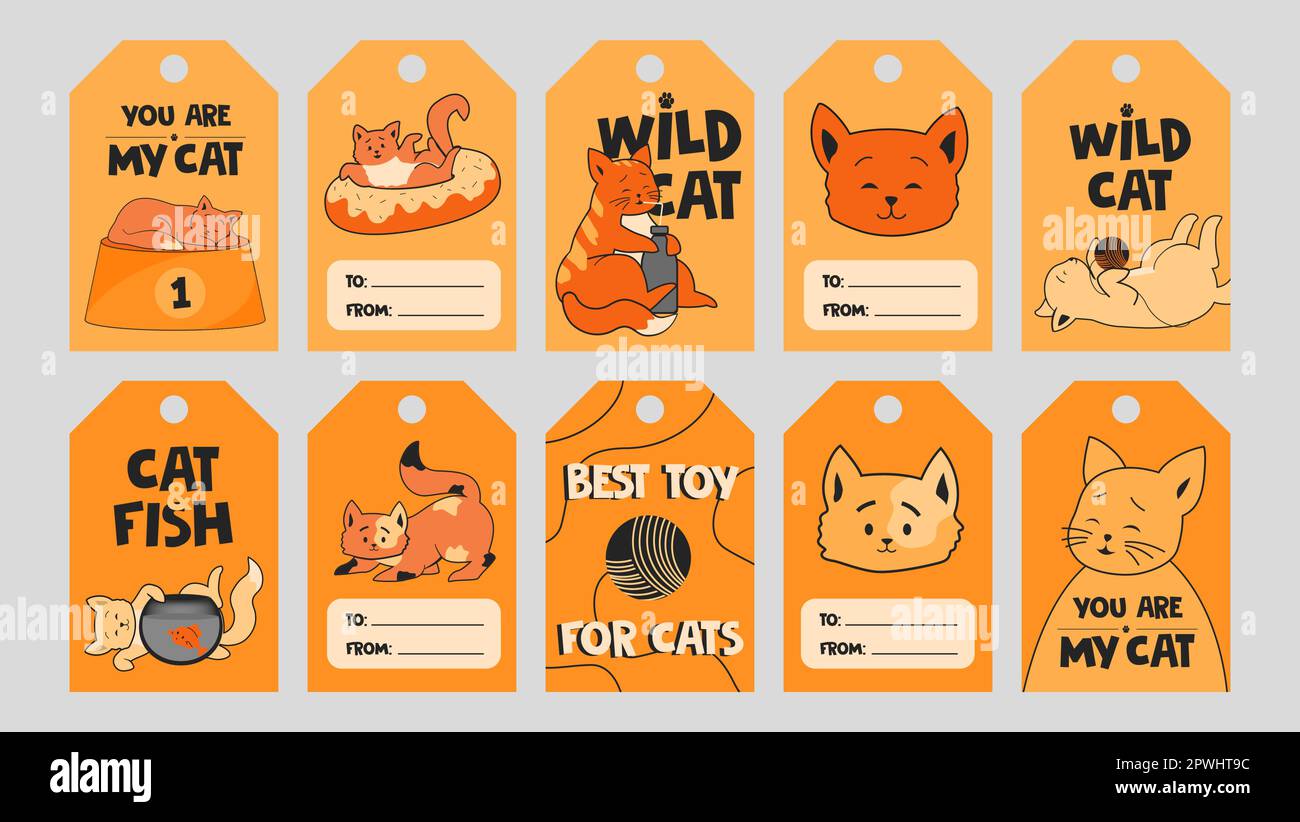 Orange special tag designs with cute kittens Stock Vector Image & Art ...