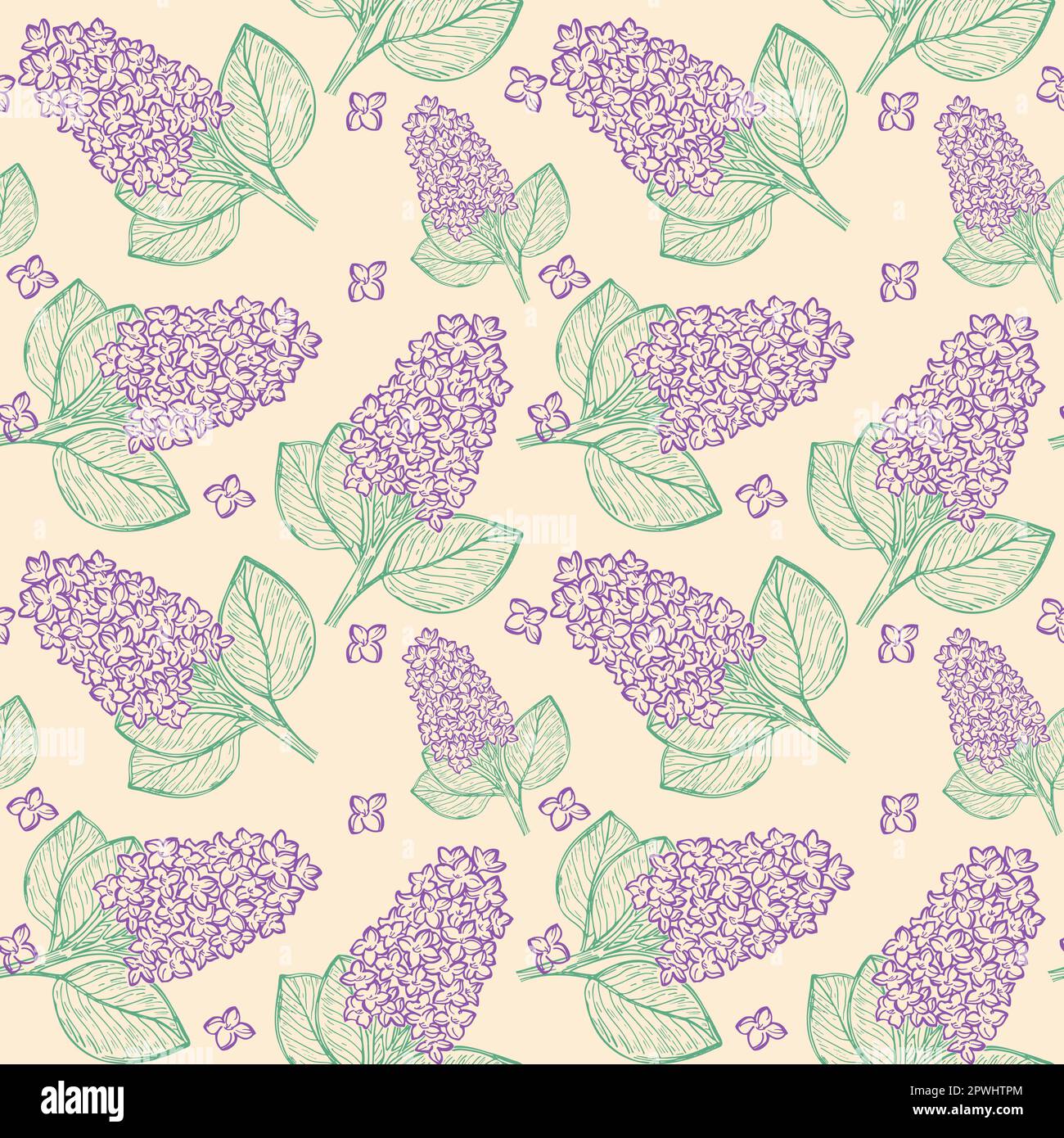 Lilac branches seamless pattern. Background with purple flowers hand ...