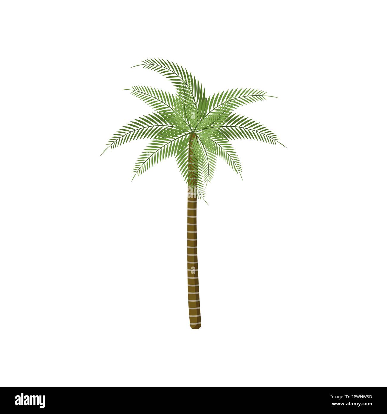 Tropical shade park Stock Vector Images - Alamy