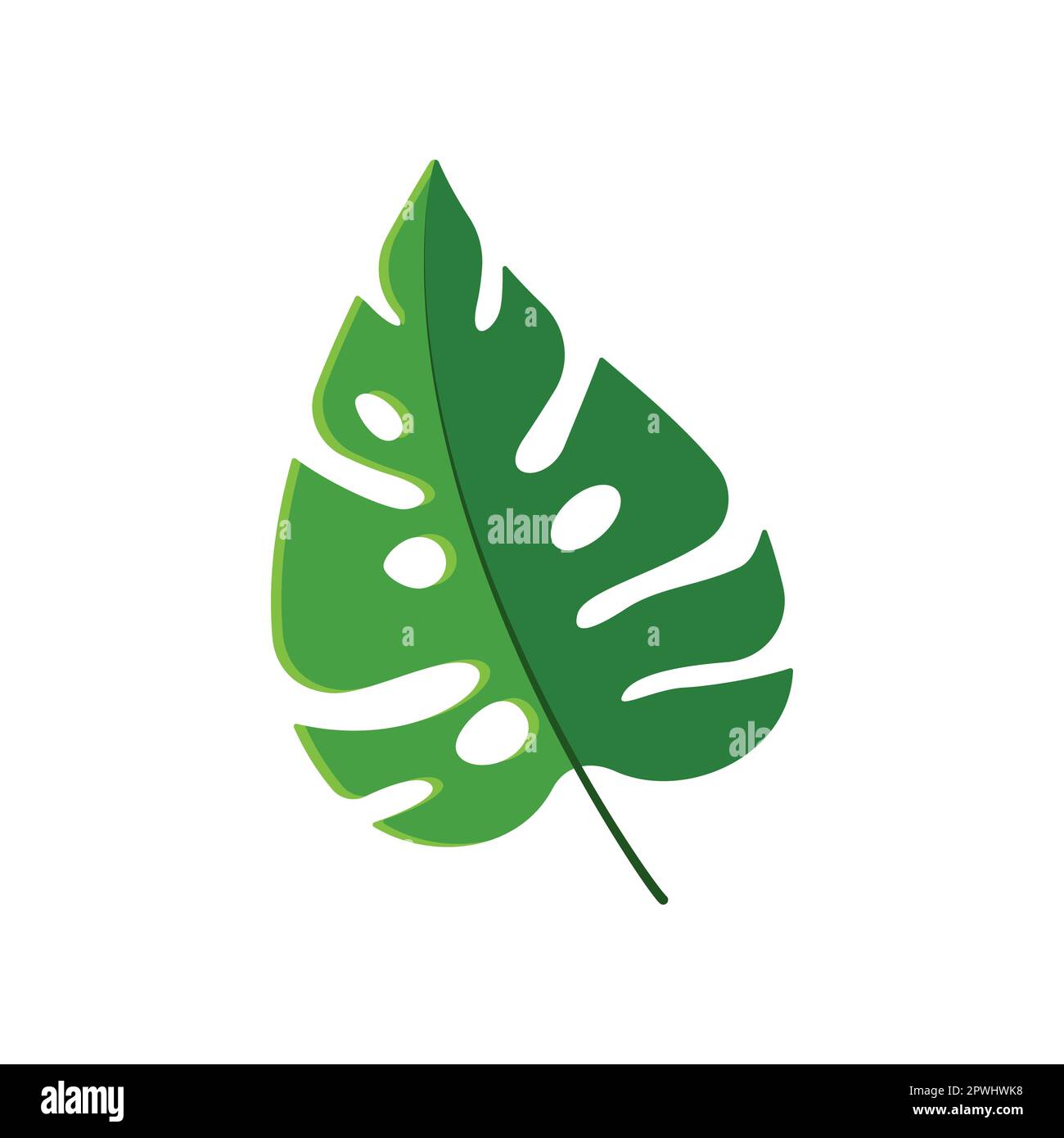 One tropical monstera leaf Stock Vector Images - Alamy