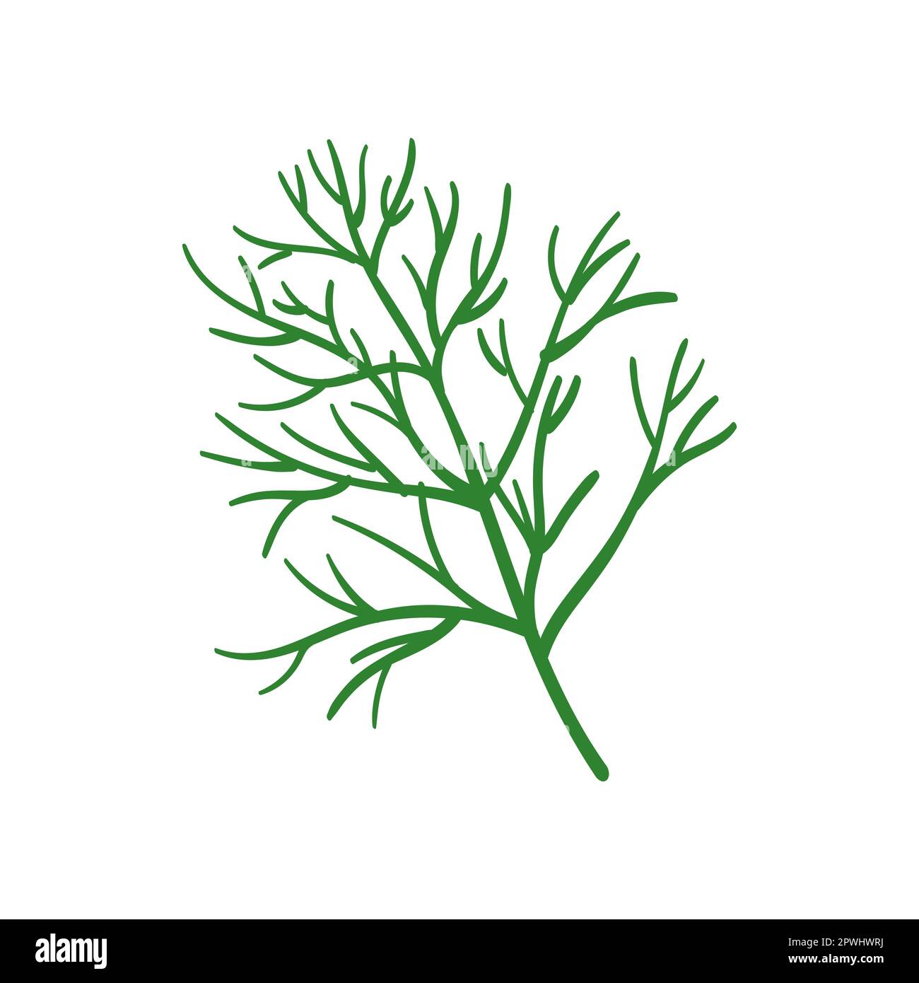 Dill with vitamin C vector illustration Stock Vector Image & Art - Alamy