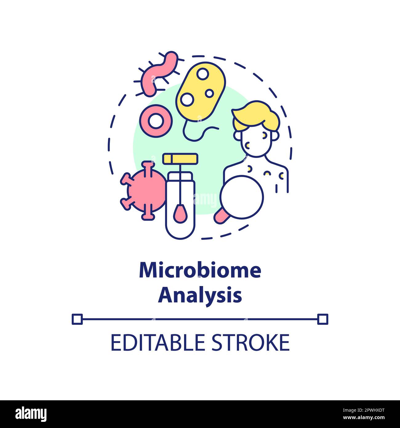 Microbiome analysis concept icon Stock Vector Image & Art - Alamy