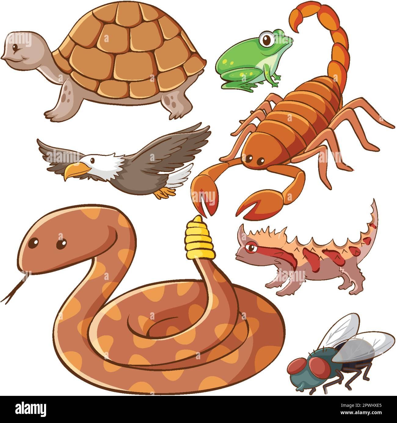 Set of simple animals cartoon character illustration Stock Vector Image ...