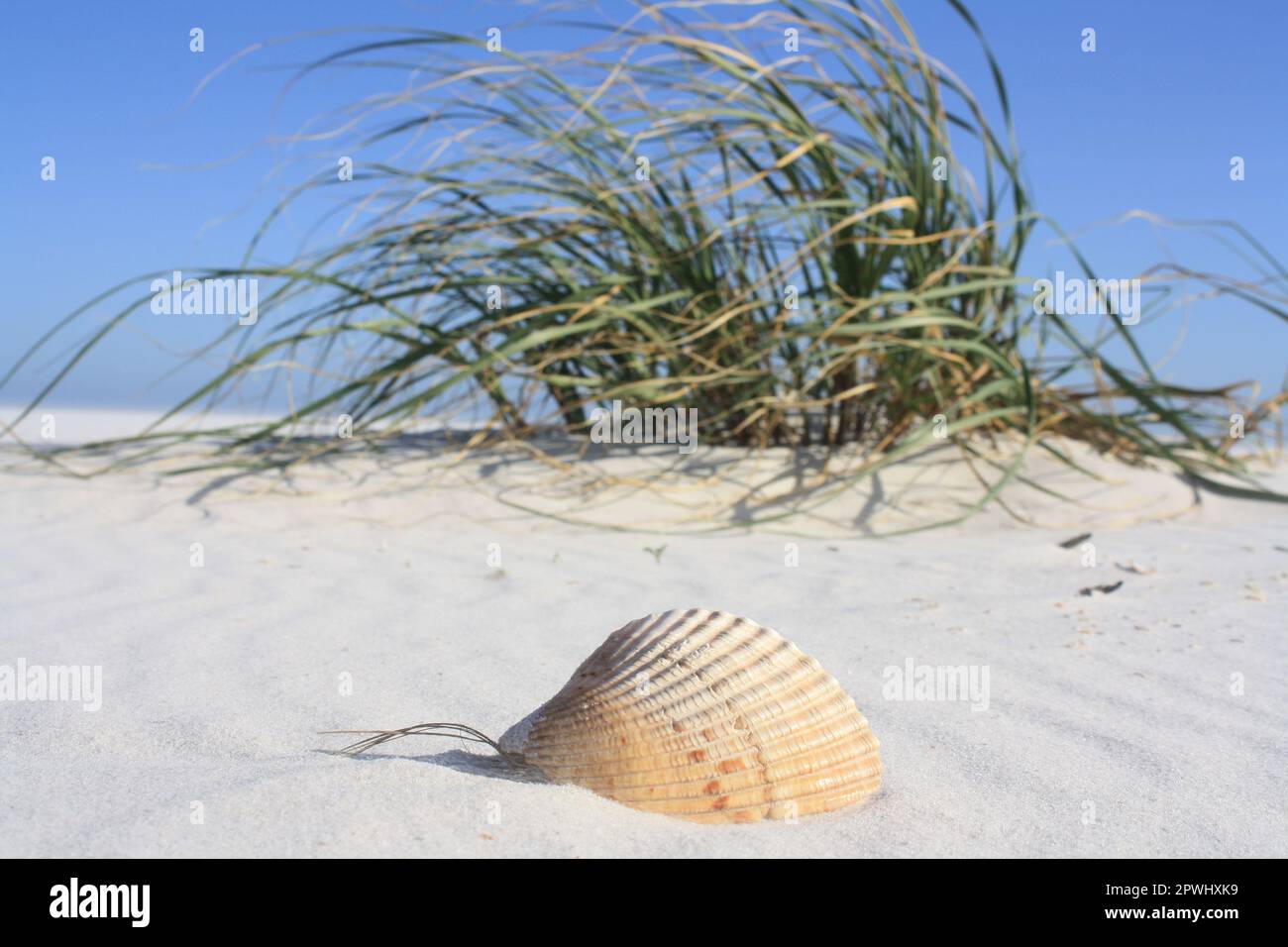 Perdido key beach hi-res stock photography and images - Alamy