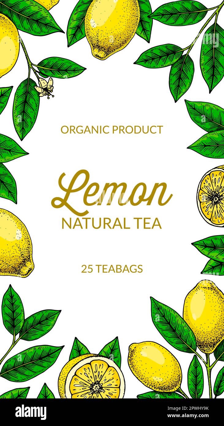 Vertical lemon background. Hand drawn colorful vector illustration in ...