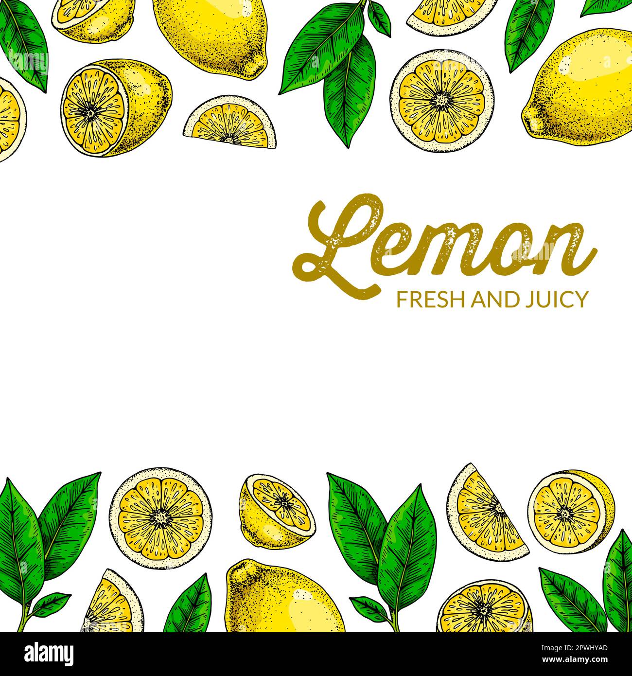 Square lemon background. Hand drawn colorful vector illustration in ...