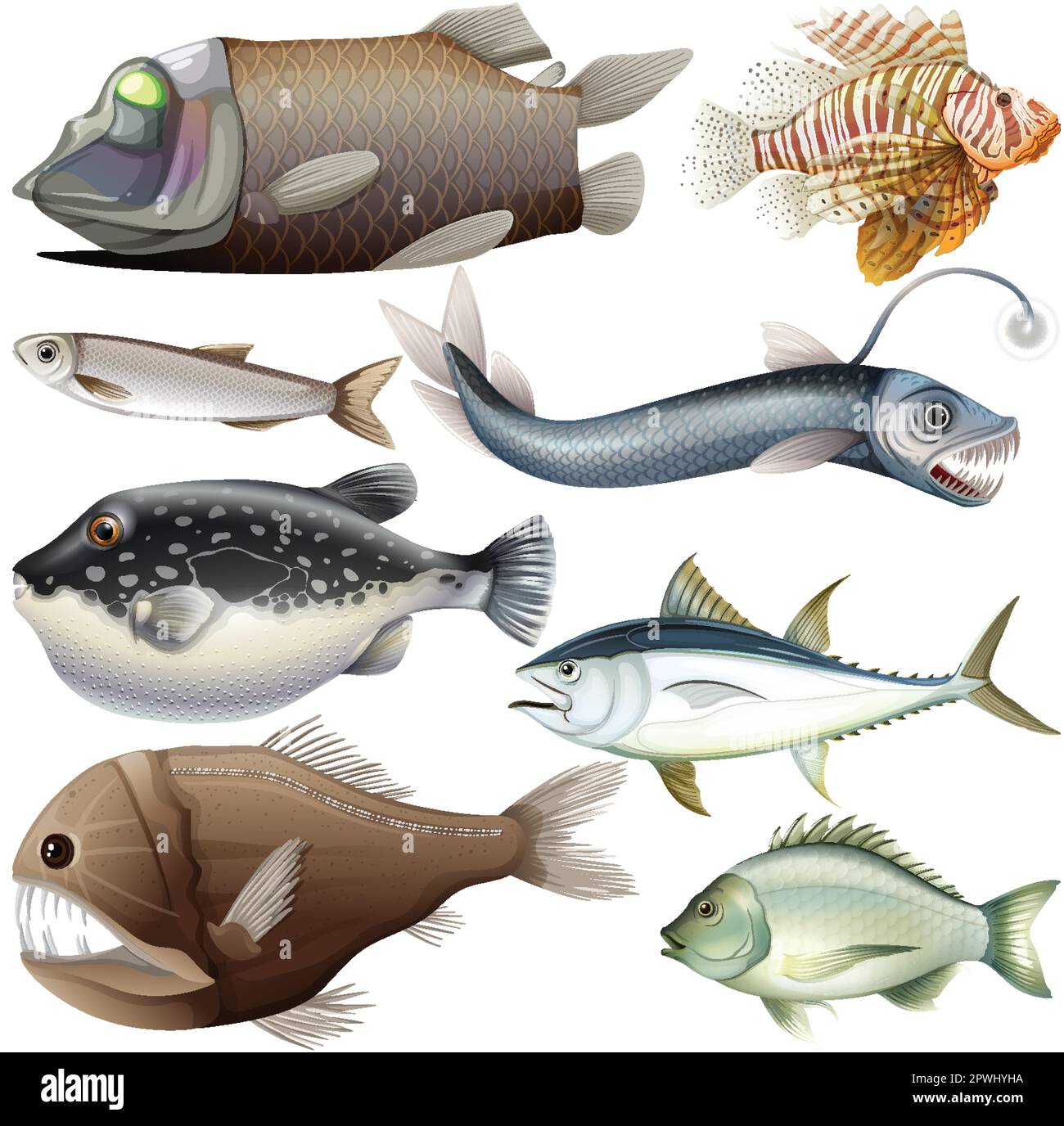 Deep Sea Underwater Creature Vector Set illustration Stock Vector Image ...