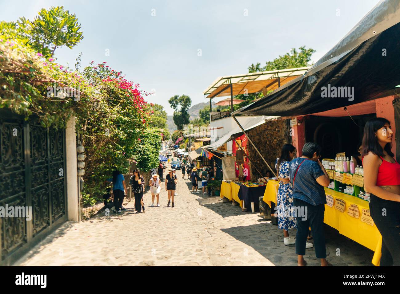 Beautiful landscape in tepoztlan mountains hi-res stock photography and ...