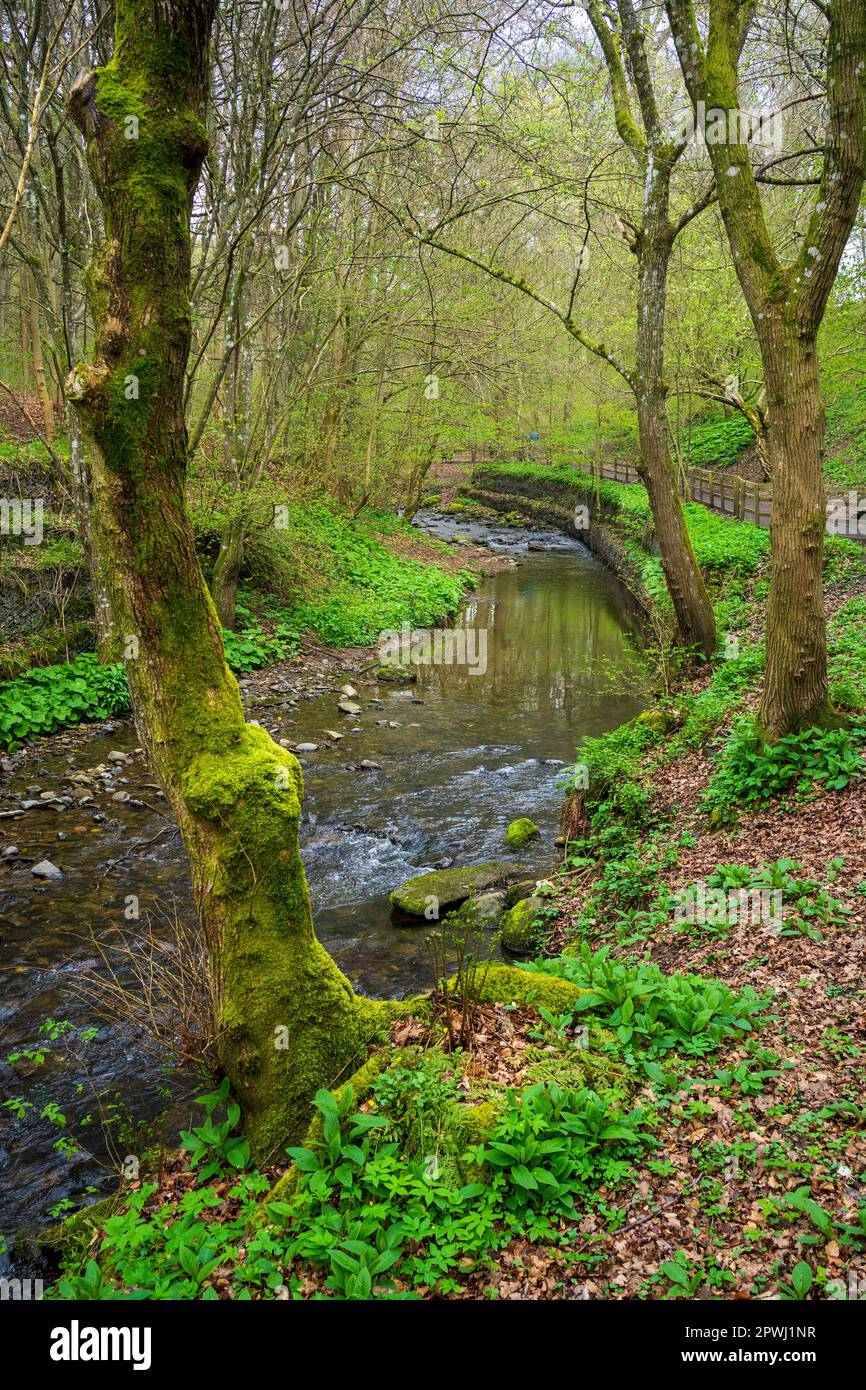 Village of Scone outside Perth Scotland home to the Stone of Scone ...