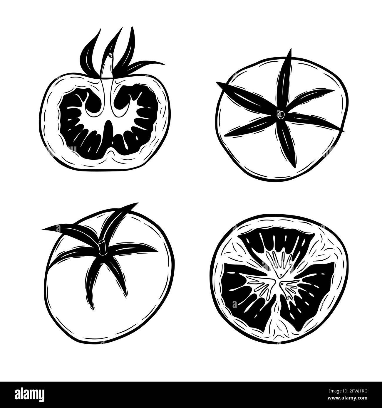 Cut half tomato vector drawing hi-res stock photography and images - Alamy