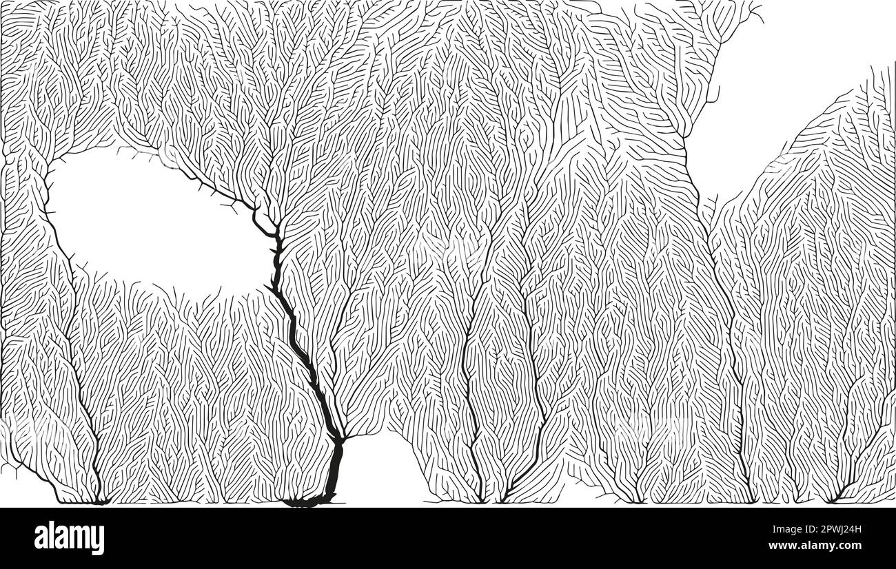 Growth Pattern Generative Branching Structure Organic Net Of Vessels Texture Stock Vector