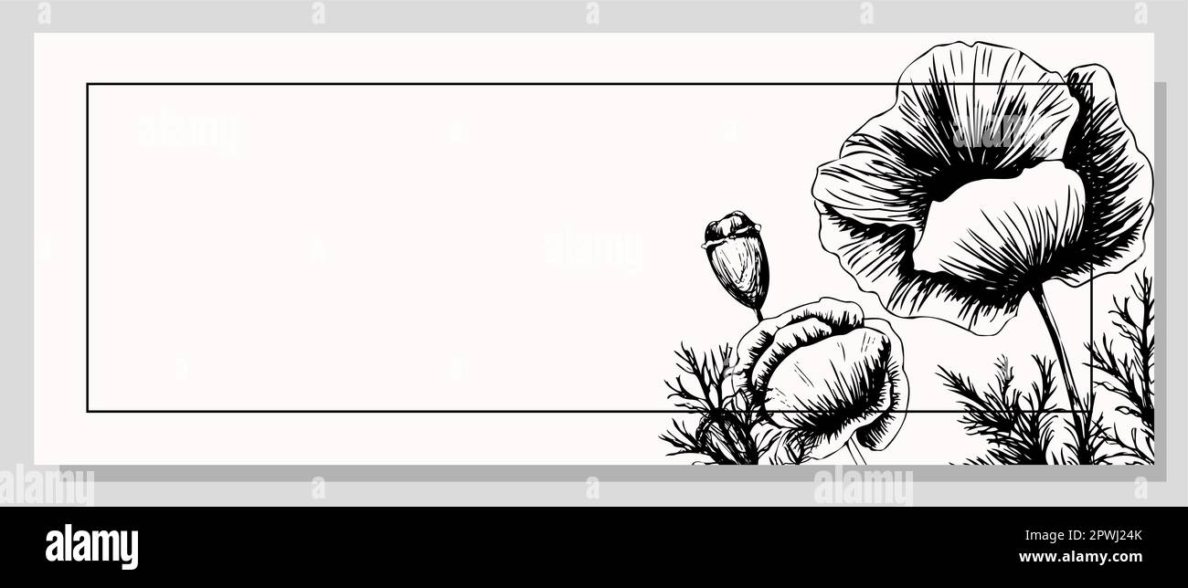 May 9. Banner for Victory Day. Symbolic red poppy on a white background ...