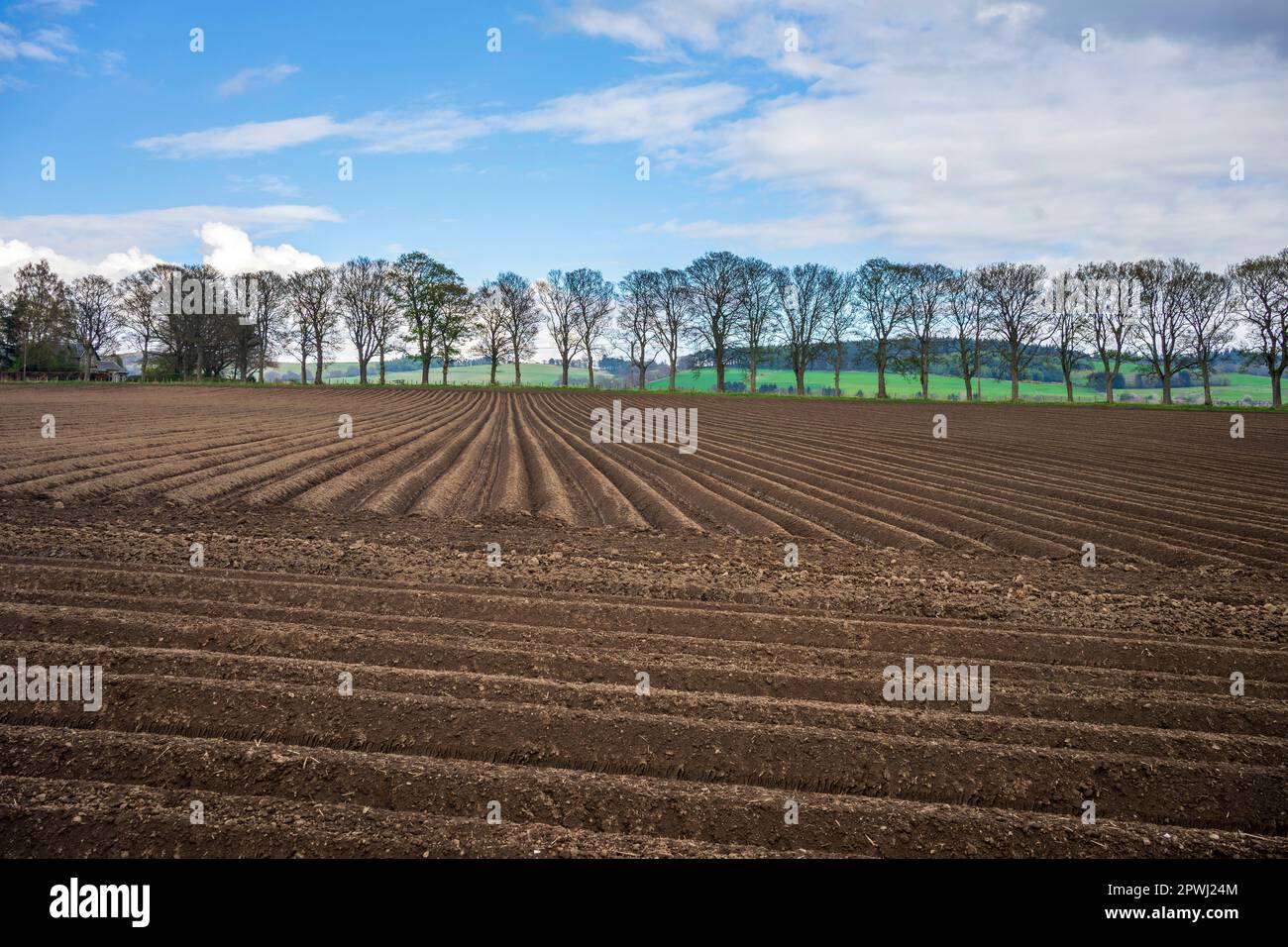Village of Scone outside Perth Scotland home to the Stone of Scone ...