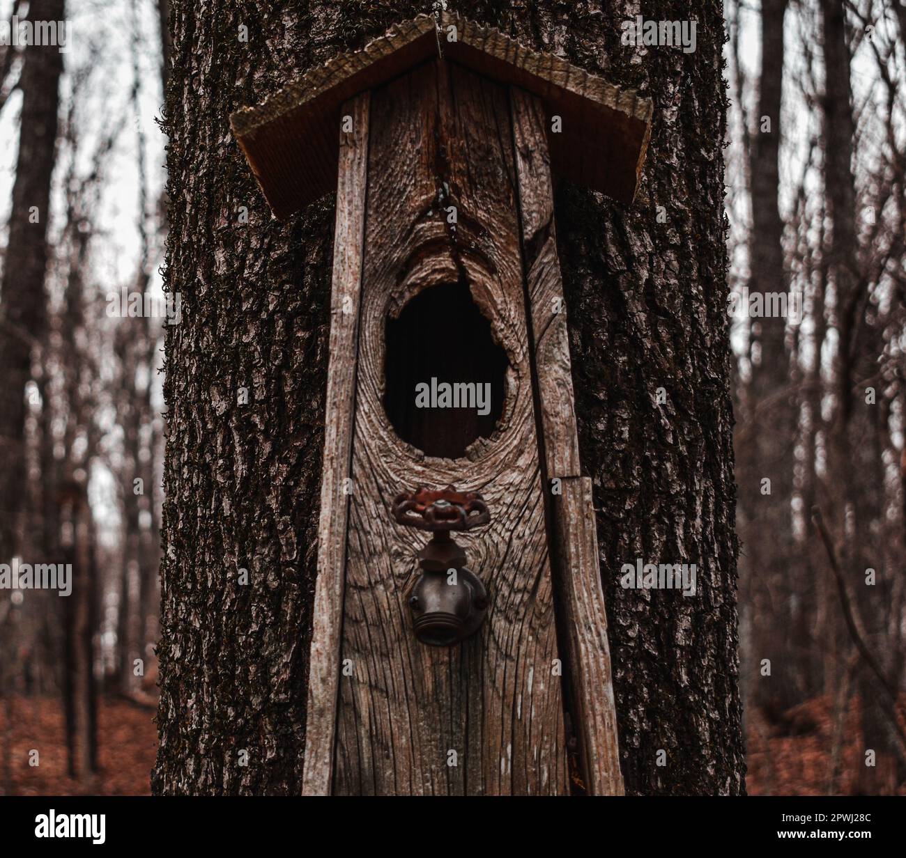 Platbased hi-res stock photography and images - Alamy