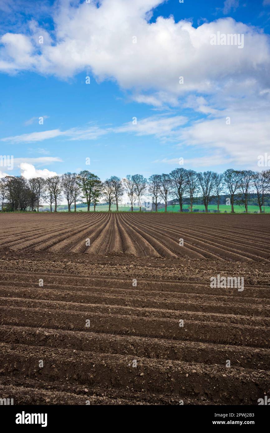 Village of Scone outside Perth Scotland home to the Stone of Scone ...