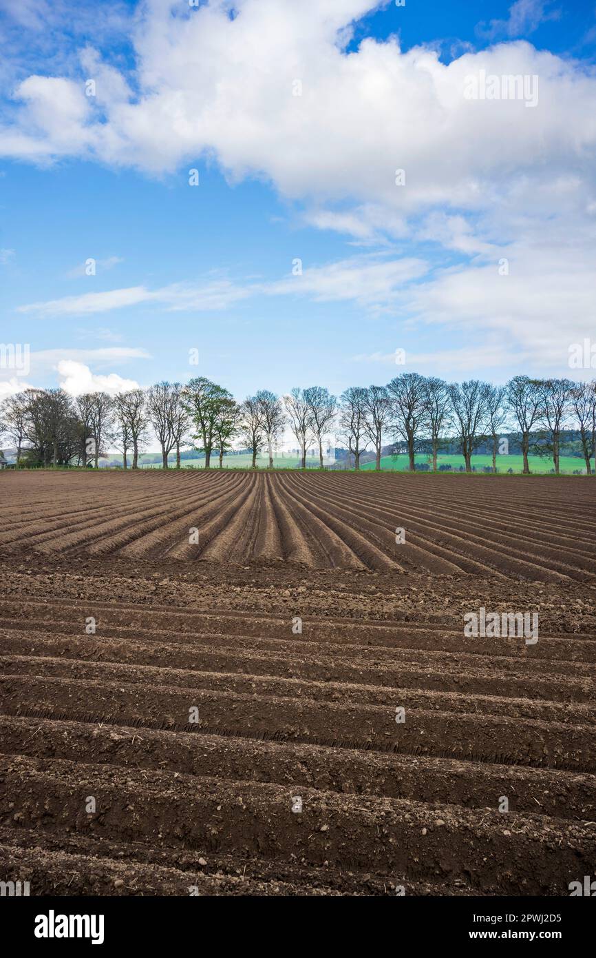 Village of Scone outside Perth Scotland home to the Stone of Scone ...