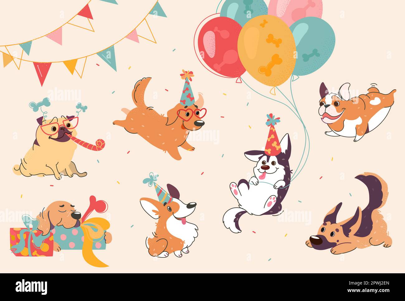 Dog birthday party. Puppies of different breeds at the party, labrador ...