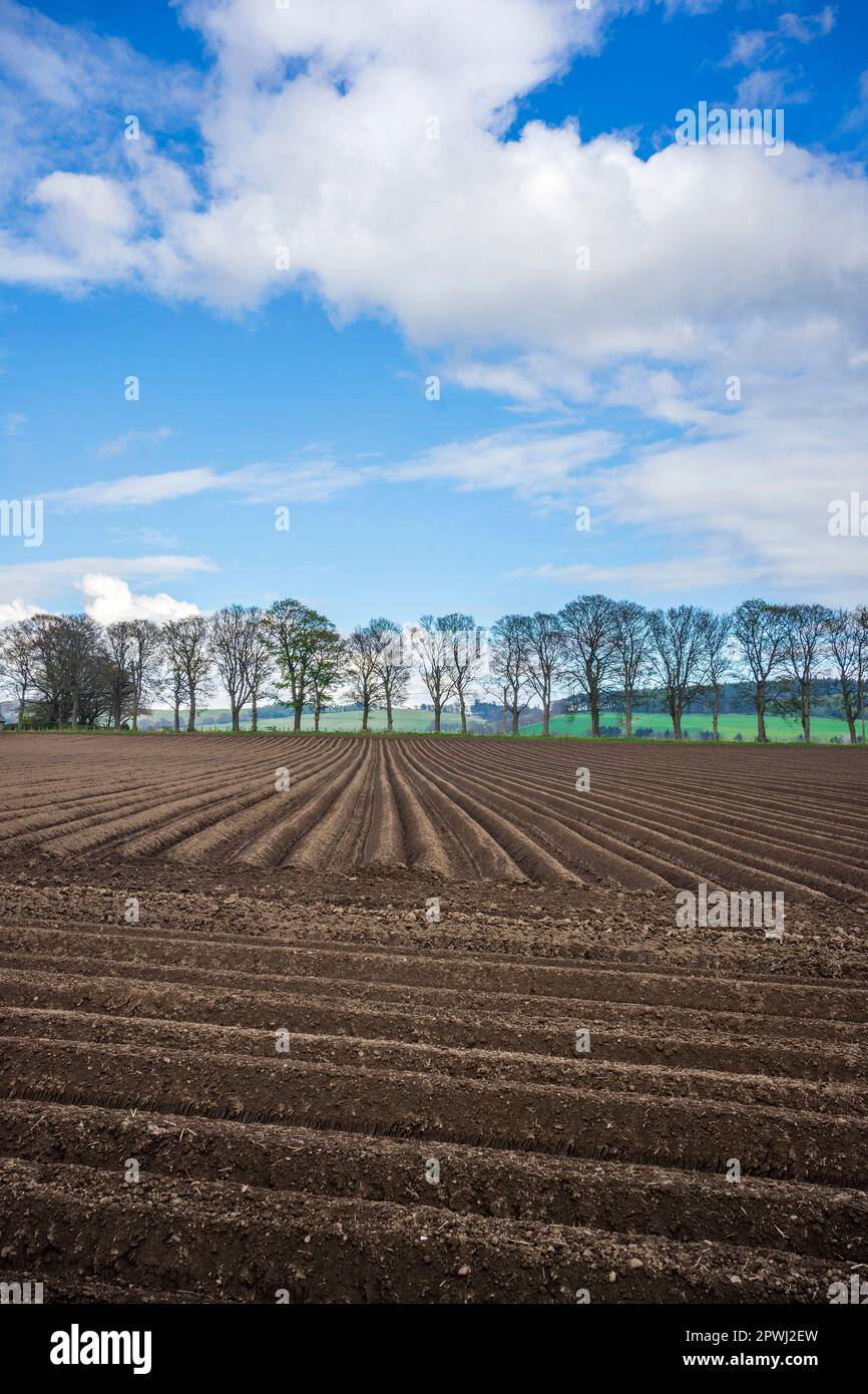 Village of Scone outside Perth Scotland home to the Stone of Scone ...
