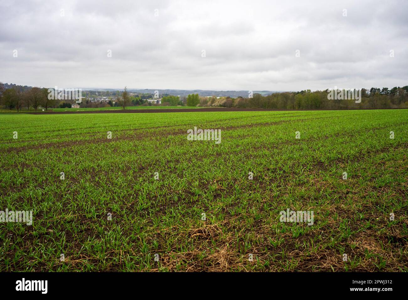 Village of Scone outside Perth Scotland home to the Stone of Scone ...