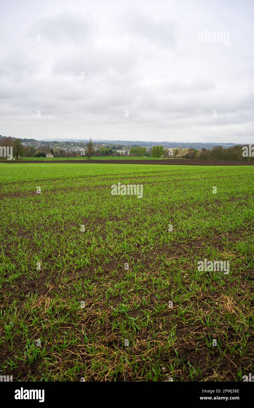 Village of Scone outside Perth Scotland home to the Stone of Scone ...