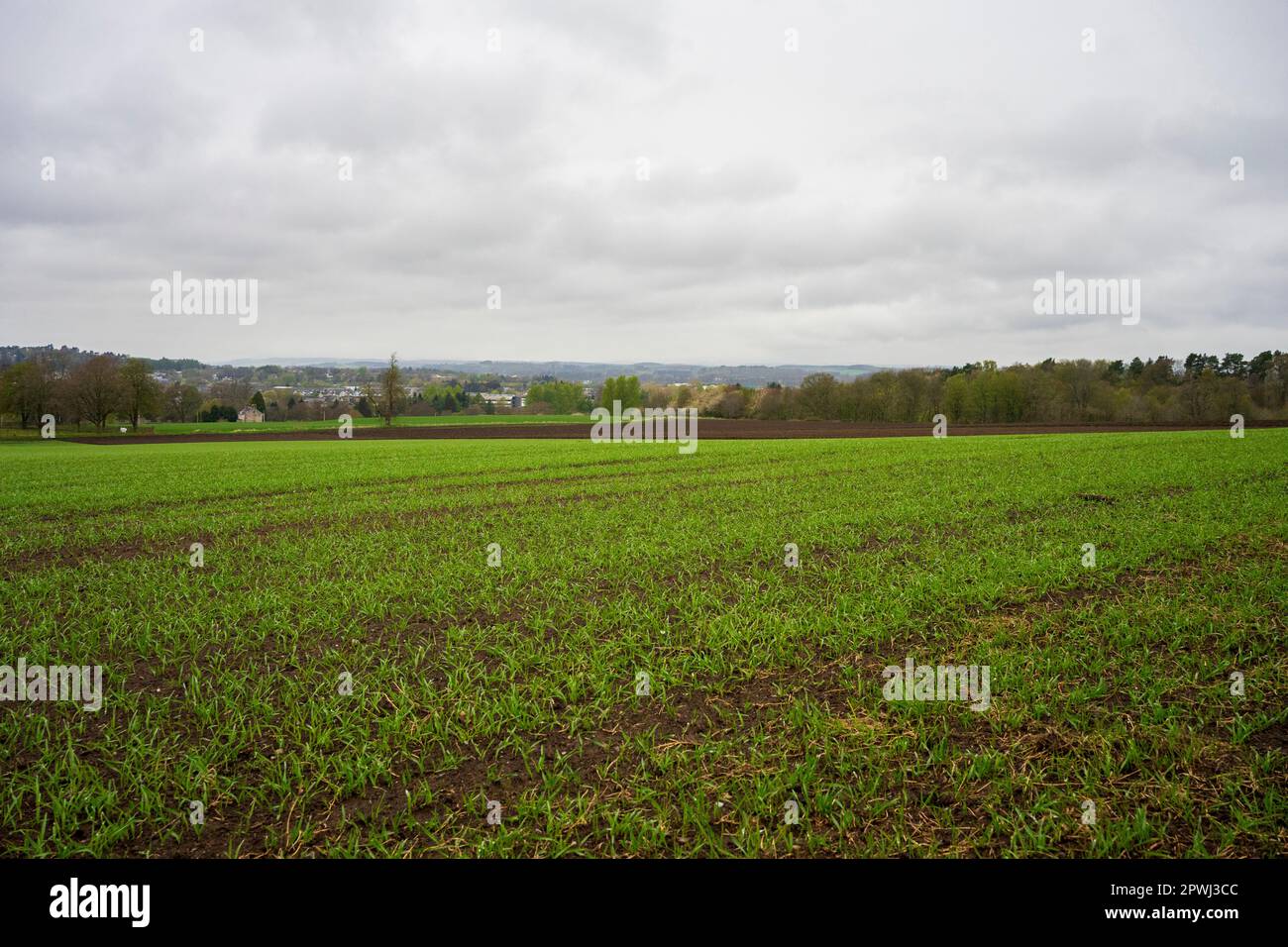 Village of Scone outside Perth Scotland home to the Stone of Scone ...
