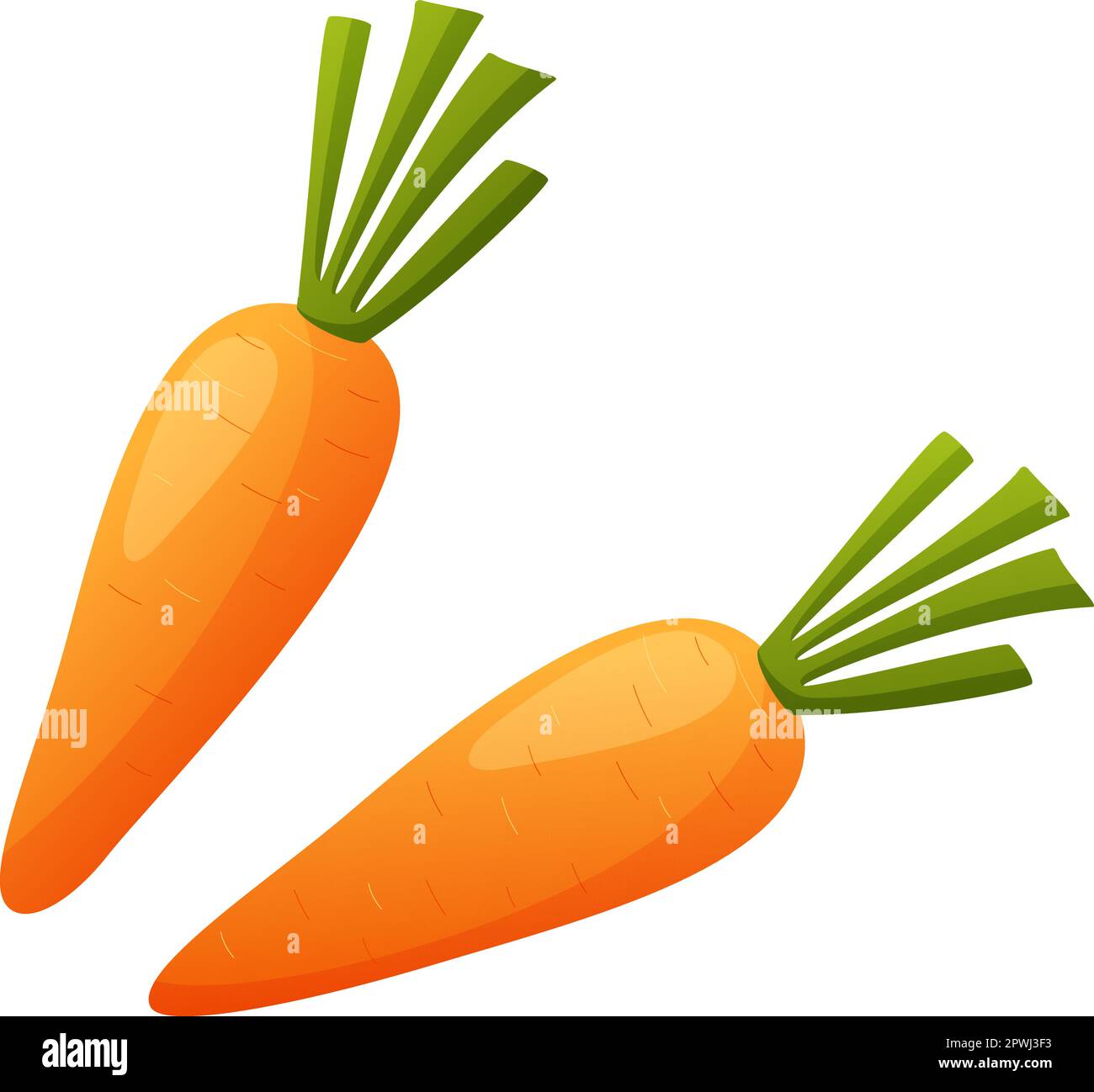 Two carrots isolated on white background Stock Vector Image & Art - Alamy