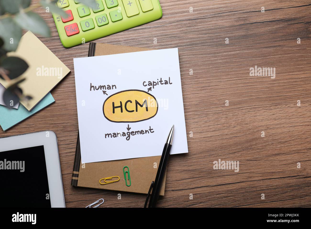 Human capital management hi-res stock photography and images - Alamy