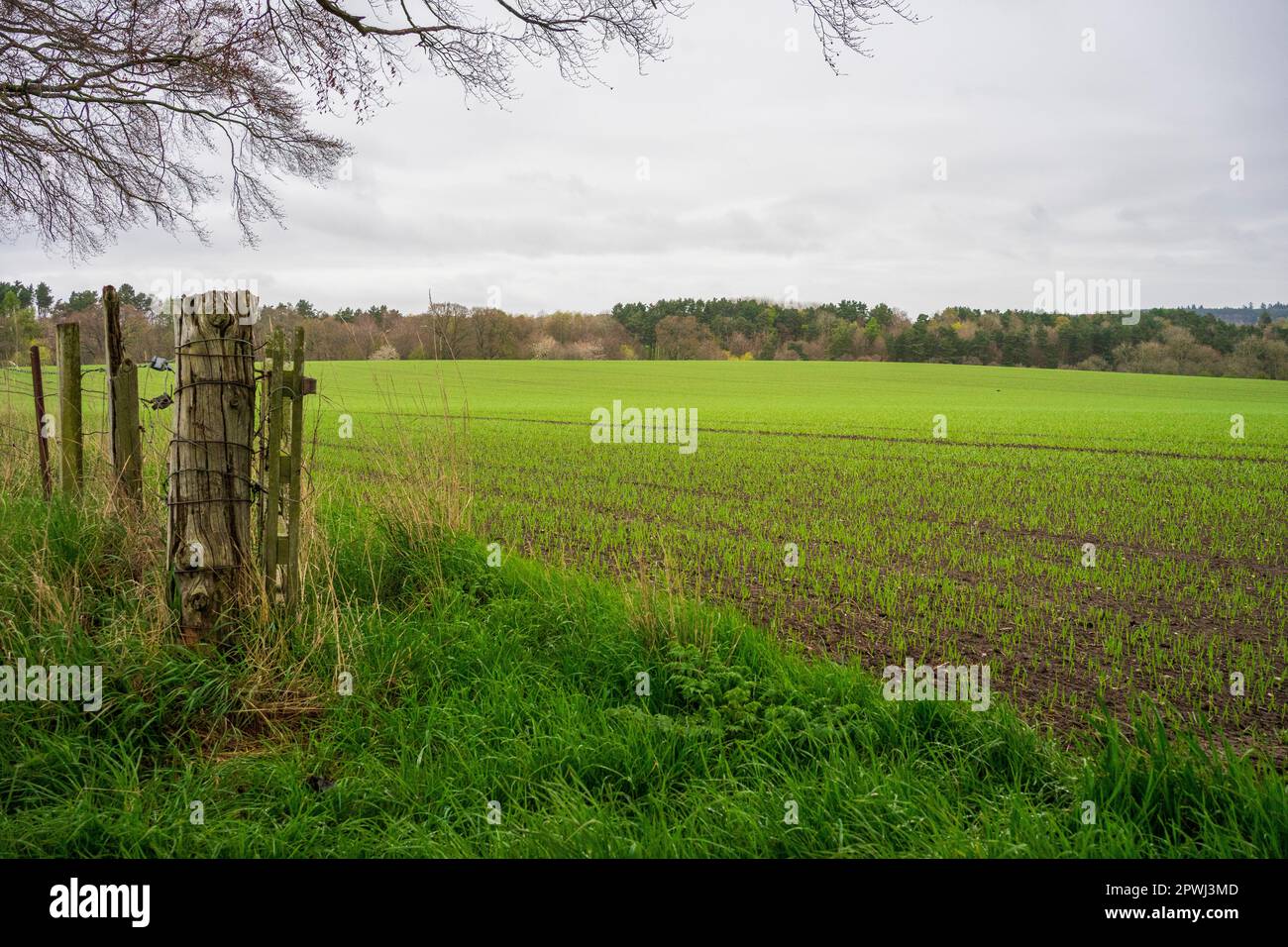 Village of Scone outside Perth Scotland home to the Stone of Scone ...