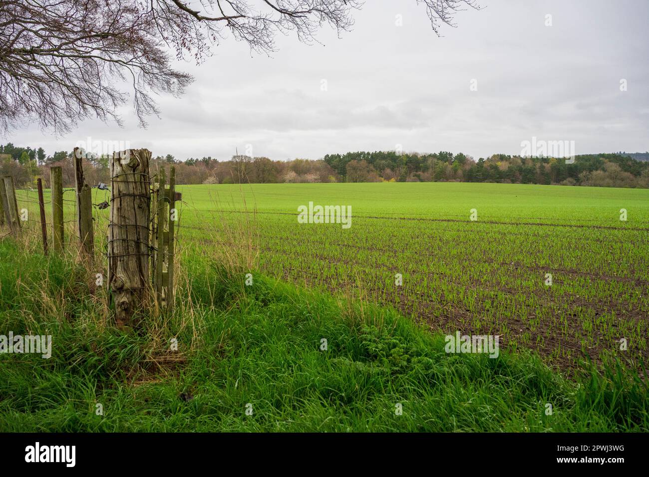 Village of Scone outside Perth Scotland home to the Stone of Scone ...