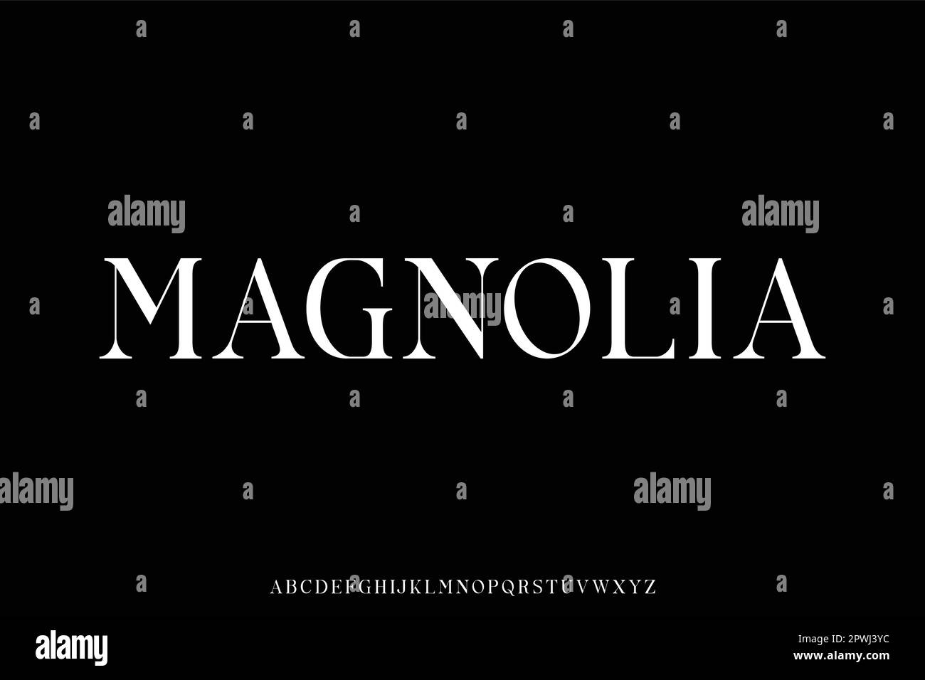 Elegant high contrast serif display font vector Stock Vector Image ...