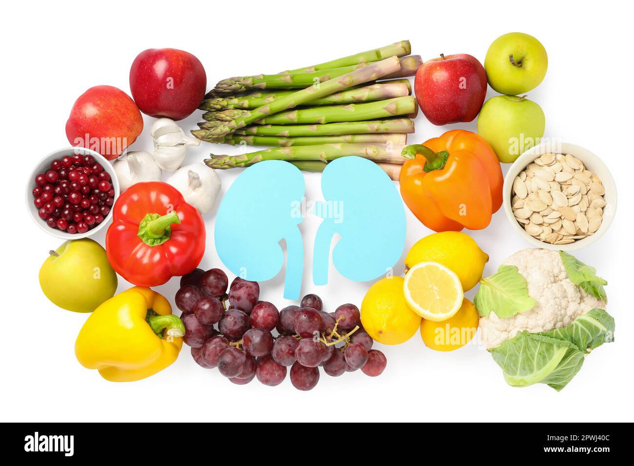 Paper cutout of kidneys and different healthy products on white ...
