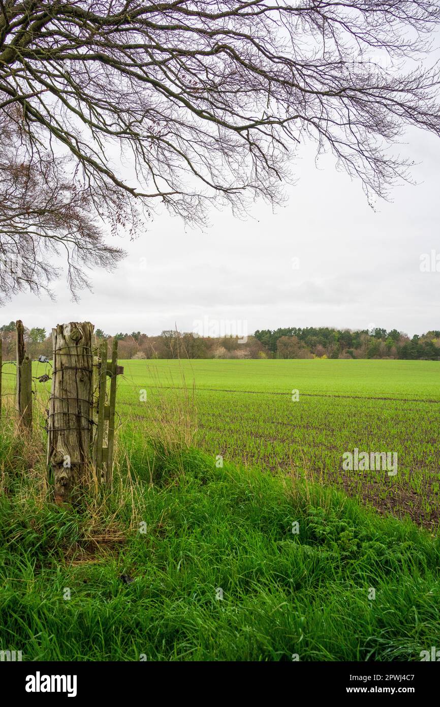 Village of Scone outside Perth Scotland home to the Stone of Scone ...