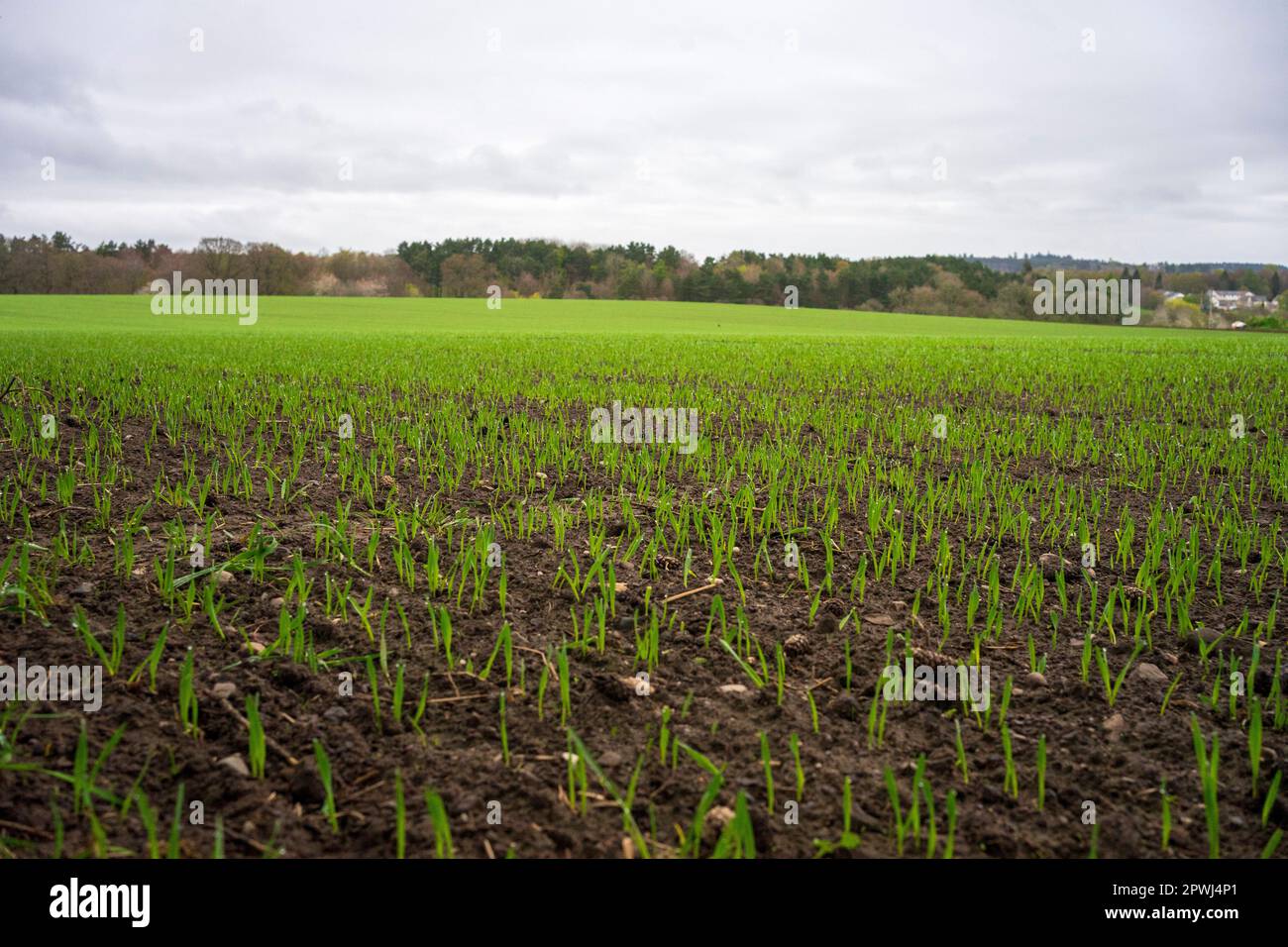 Village of Scone outside Perth Scotland home to the Stone of Scone ...