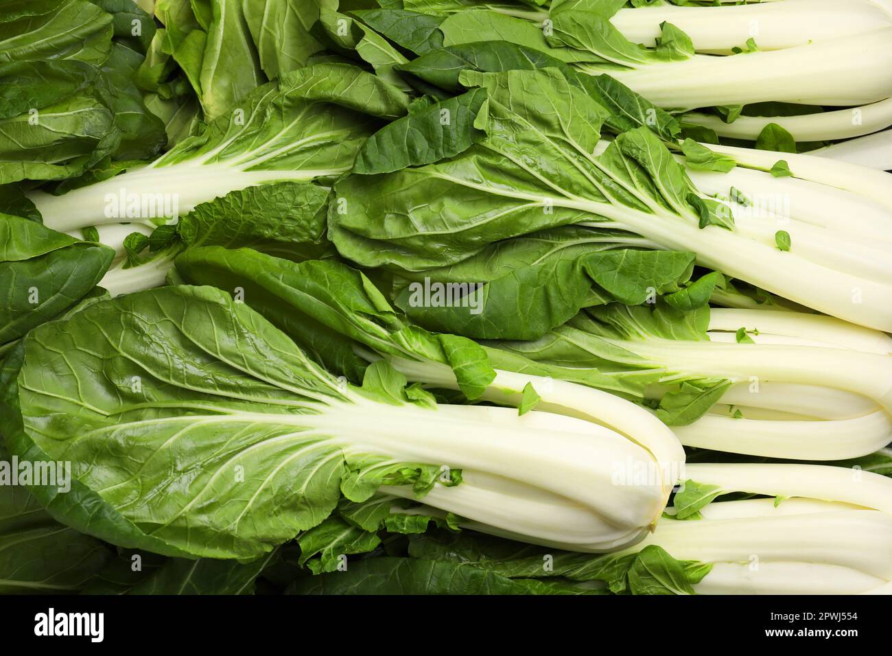 Fresh green pak choy cabbages as background, top view Stock Photo - Alamy