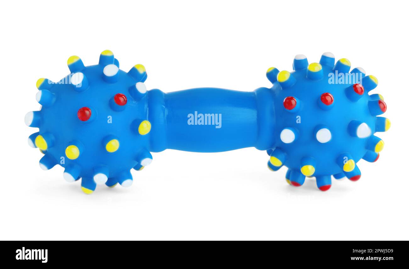 The blue bone hi-res stock photography and images - Alamy