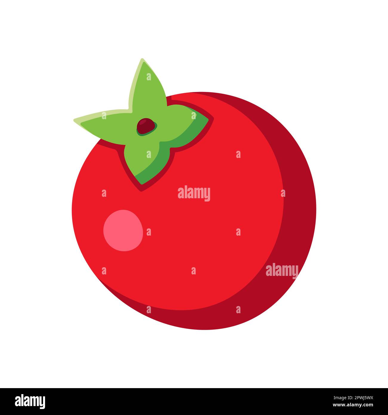 Tomato Vector Illustration Stock Vector Image And Art Alamy