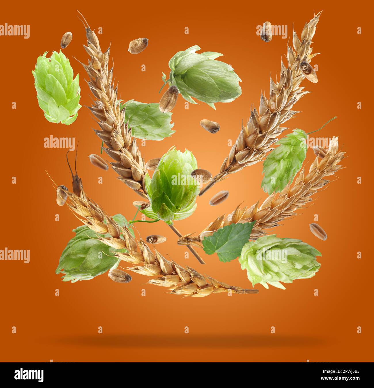 Whole grain wheat seeds falling hi-res stock photography and images - Alamy