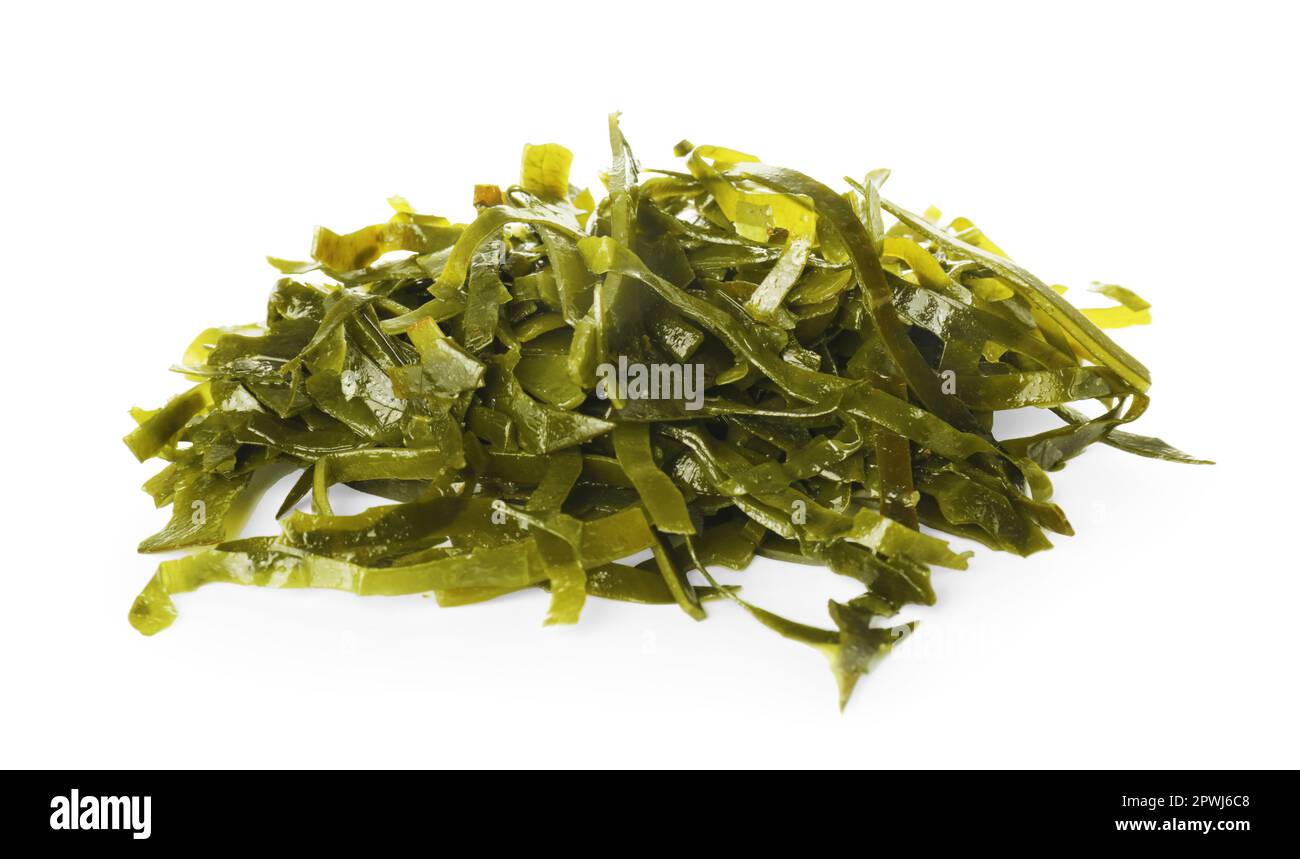 Fresh laminaria (kelp) seaweed isolated on white Stock Photo - Alamy