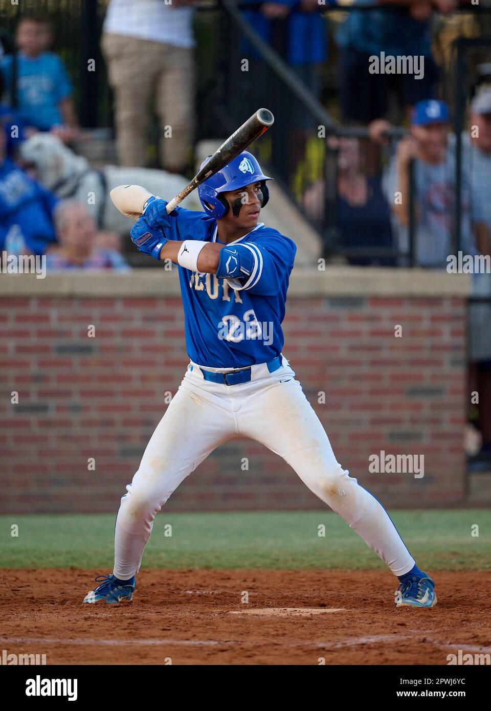 Tampa Jesuit Tigers Noah Sheffield (23) bats during a High School ...