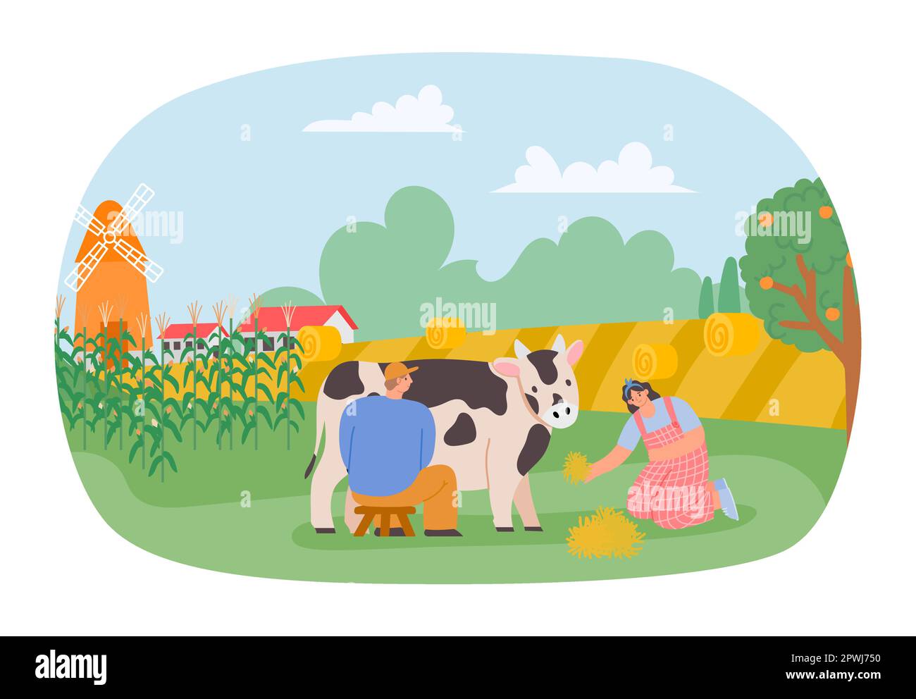 Harvest season. Farmers on plantation collecting corn. Vector of ...