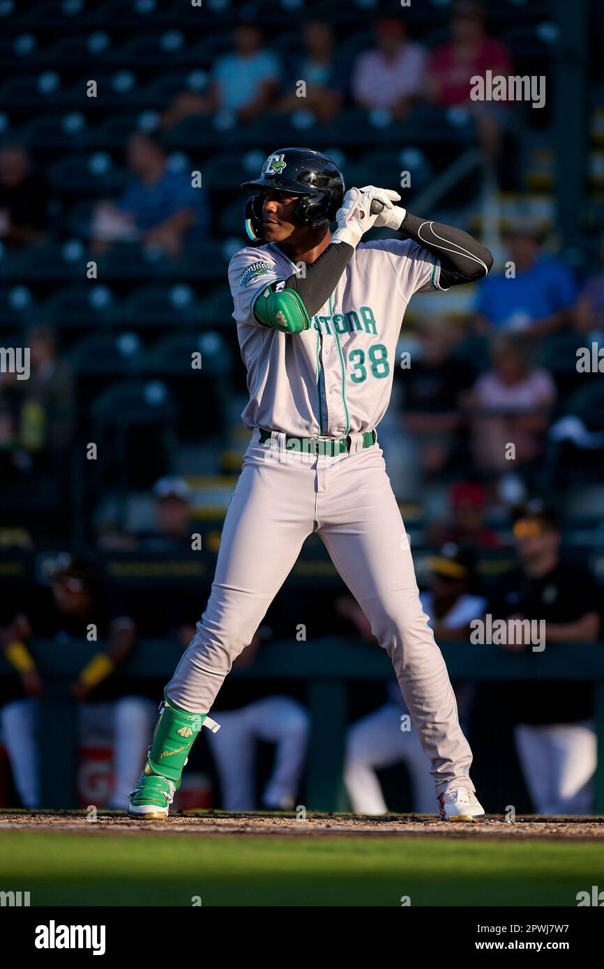 Daytona Tortugas Ariel Almonte (38) at bat during a MiLB Florida State ...