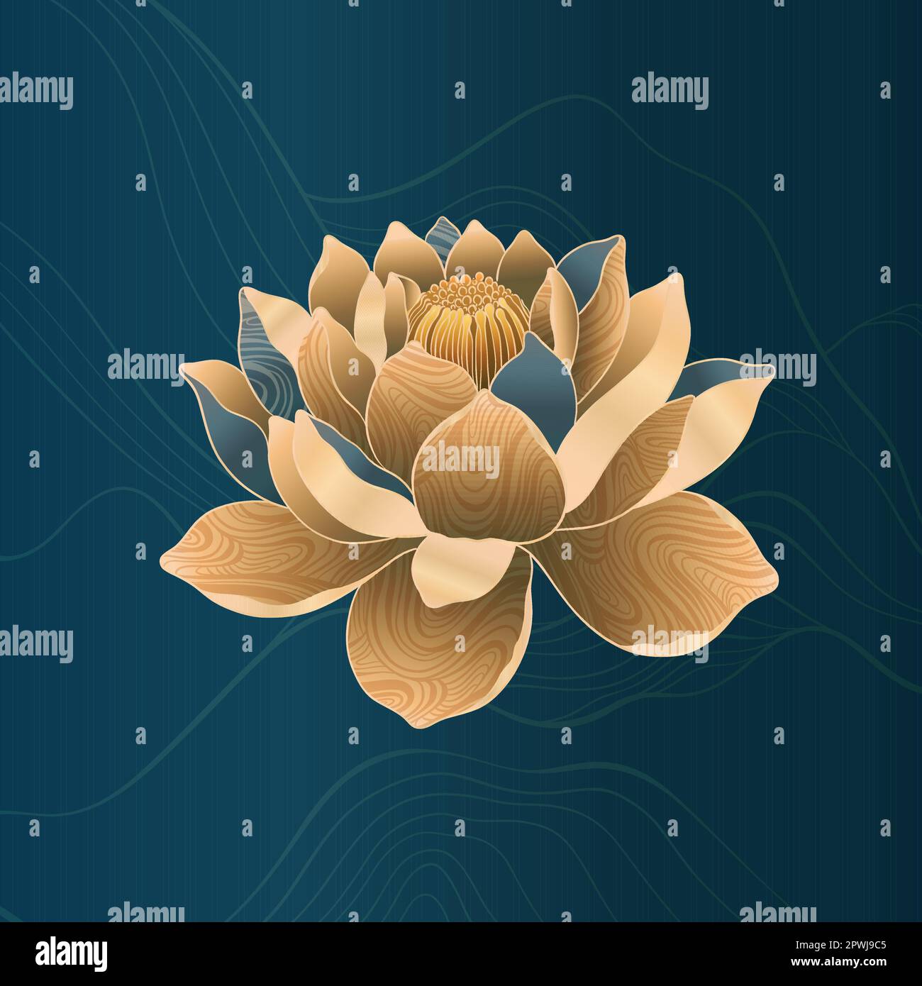 Lotus flowers for luxury and exclusive use in design. Water lilies in ...
