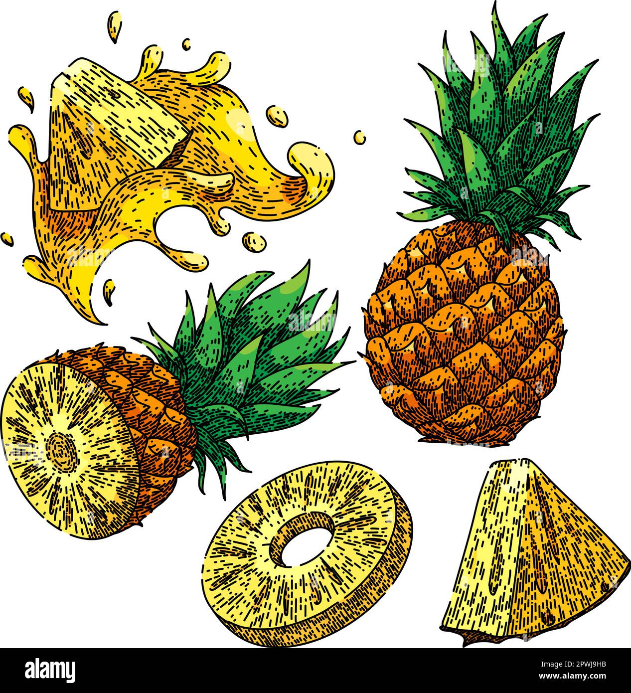 Cut Pineapple Drawing