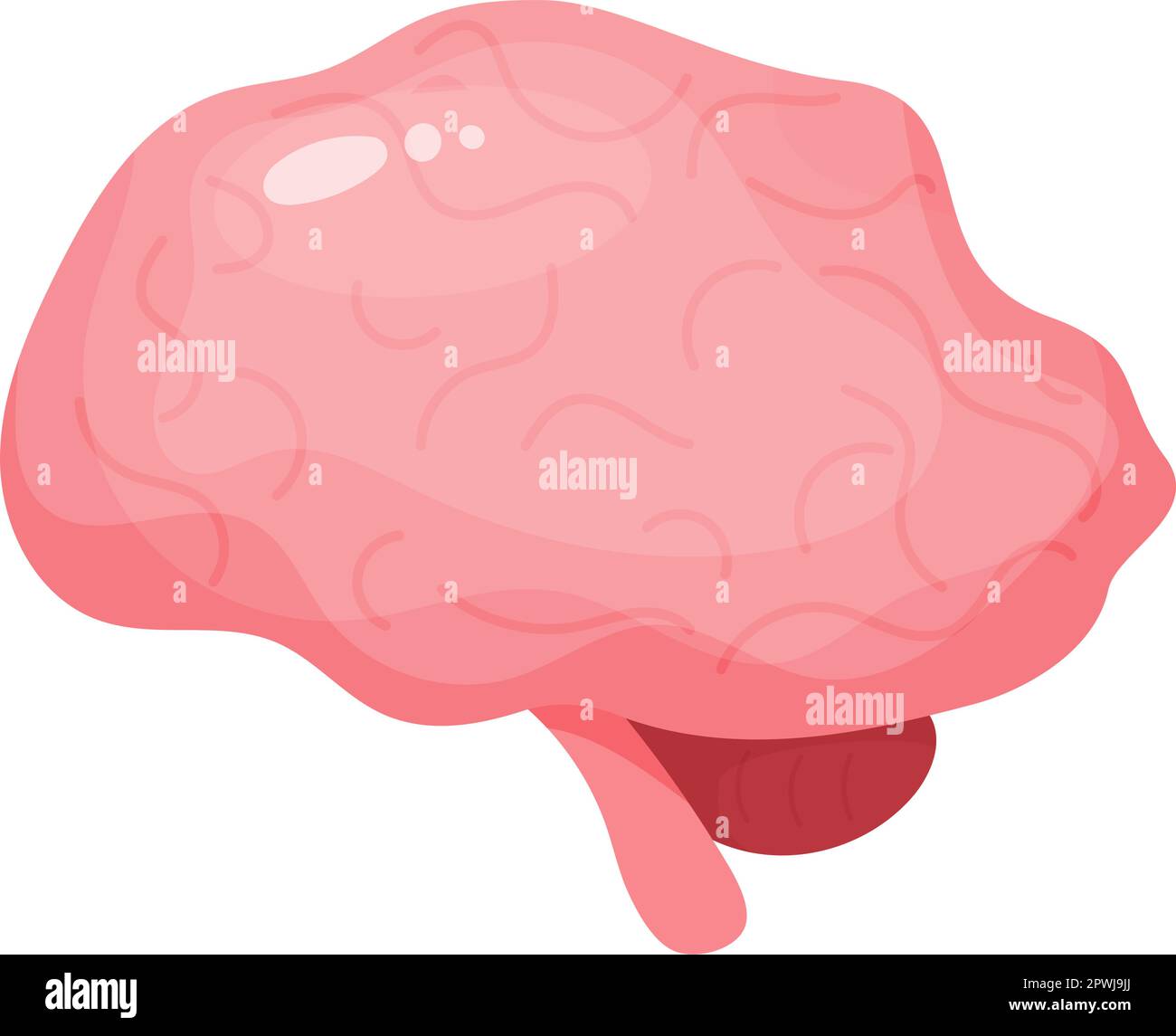 Brain. Human organ central nervous system. Vector illustration in flat ...