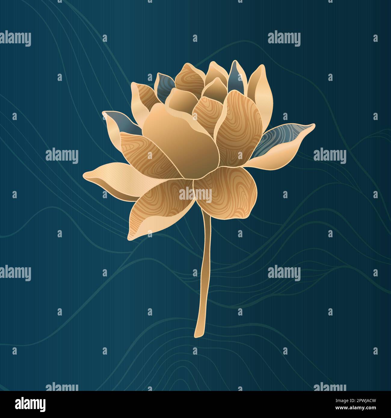 Lotus flowers for luxury and exclusive use in design. Water lilies in ...