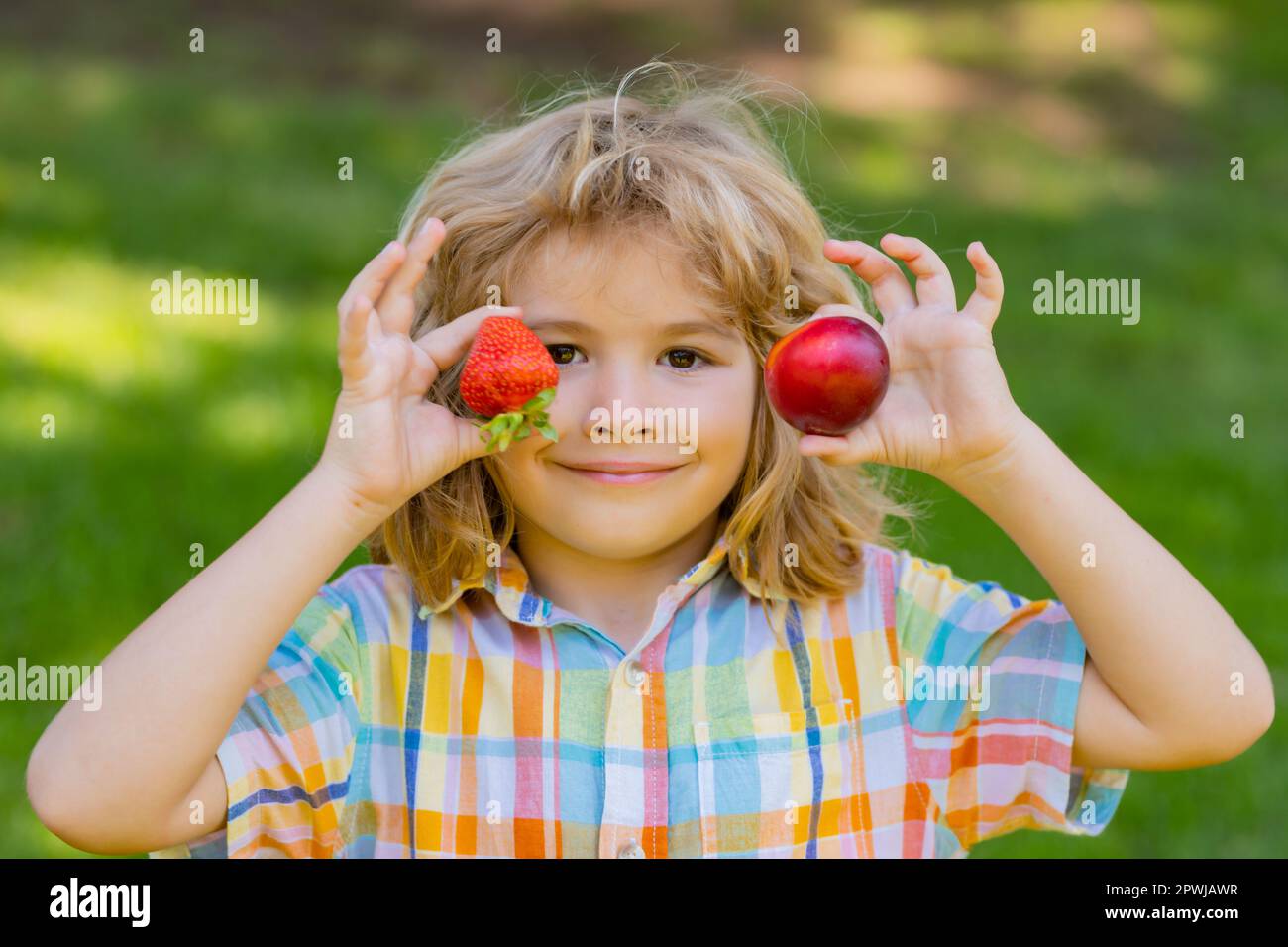 Summer kid face. Kid picking and eating ripe strawberry. Happy child ...