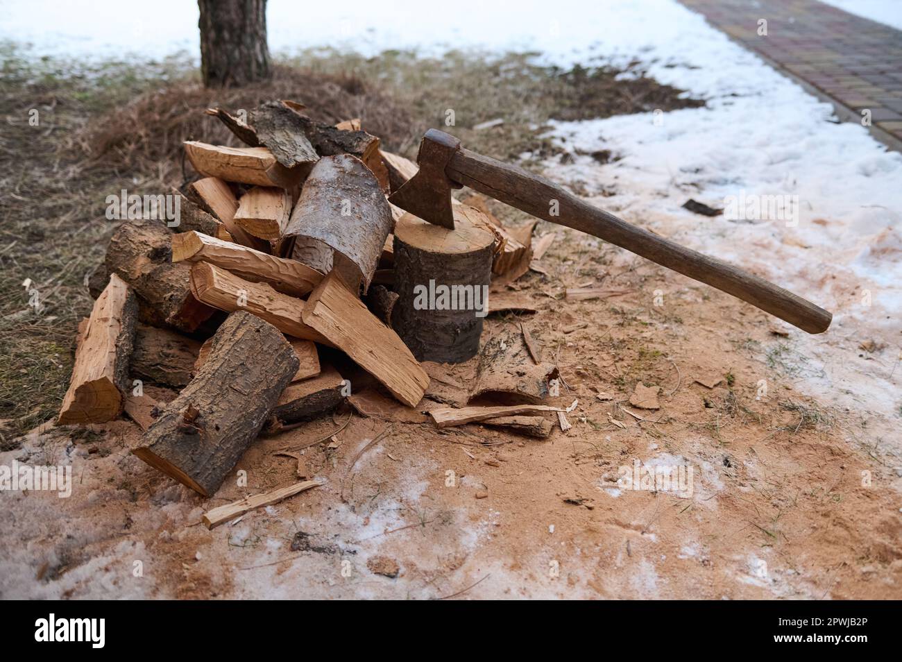 Rustic still life with an old handle axe, a hatchet in stump near ...