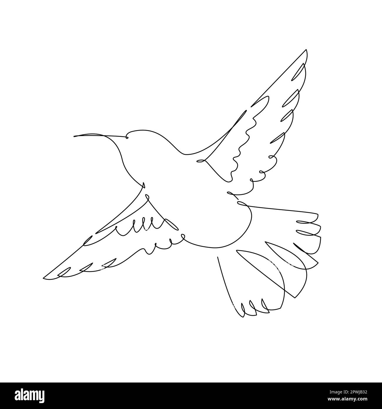Continuous One Line Drawing Of Flying Hummingbird Vector Illustration